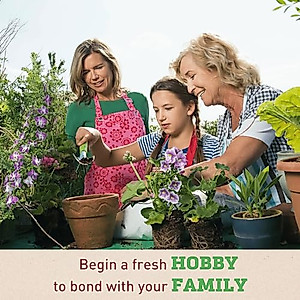 Garden Trends - Pea Seeds - Sugar Sprint Variety - Treated, Non-GMO Vegetable for Outdoor Planting Home Garden - Compact Vines - Edible, Stringless Pods - 100 Seeds