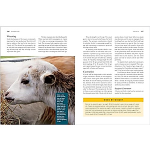 Storey's Guide to Raising Dairy Goats, 5th Edition: Breed Selection, Feeding, Fencing, Health Care, Dairying, Marketing