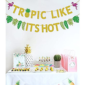 Tropic Like Its Hot Banner for Summer Tropical Hawaiian Luau Flamingo Birthday Party Bachelorette Party Decorations
