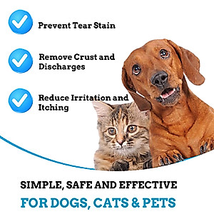 Tetesol Dog Cat Eye Wipes - 240ct Wet Pad Gentle Tear Stain Remover Wipes for Dogs Cats Horses - Non-Stinging Eye Irrigation Formula, Remove Dried Mucus, Discharge & Tear Stains