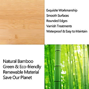 Purbambo 4 Tier Bamboo Ladder Shelf, Book Shelf Bookcase, Multifunctional Floor Freestanding Storage Rack, Plants Display Stand for Bathroom, Kitchen, Living Room