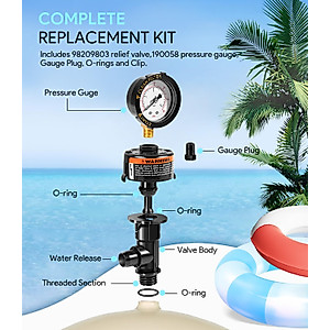 98209800 High Flow Manual Air Relief Valve w/Pressure Gauge Replacement for Pool and Spa Filter