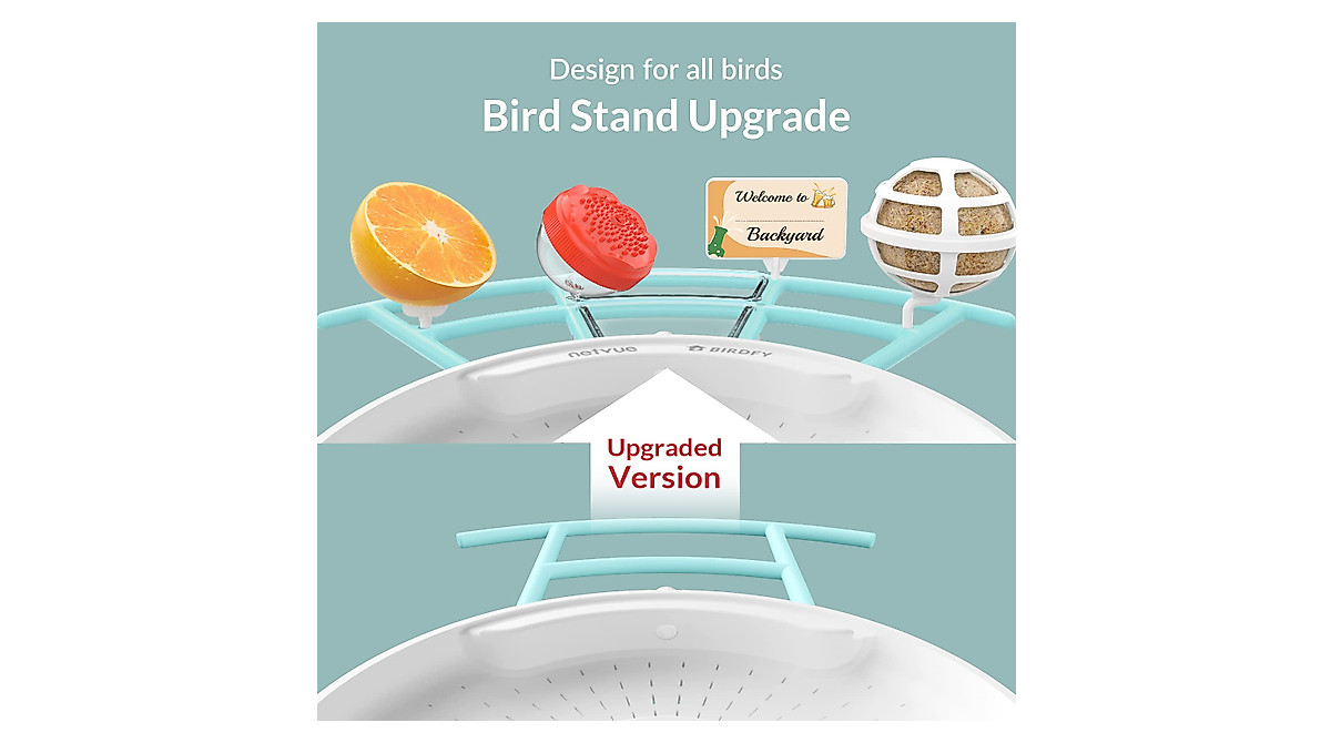 NETVUE Birdfy Pro Perch - Perfect for All Birds