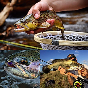 Maxcatch Fly Fishing Tapered Leader Line 6 Pack -Pre-Tied Loop- Tensile Strength- Abrasion Resistance- Low Memory 7.5ft/9ft/12ft/15ft, 0X-6X(9ft 4X(6pcs))