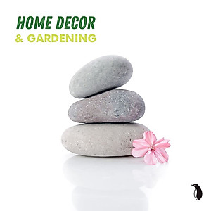 PGN 40 Large River Rocks for Painting - Stimulate Your Children’s Creativity with Our Painting Rocks for Kids - Flat and Smooth - Fun & Engaging Rock Painting with The Family - 2-4 Inches