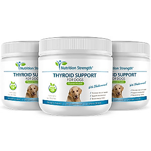 Nutrition Strength Thyroid Supplement for Dogs, Support for Hypothyroidism in Dogs with Organic Bladderwrack, Promotes Normal Function of Endocrine and Enzyme Systems, 90 Soft Chews