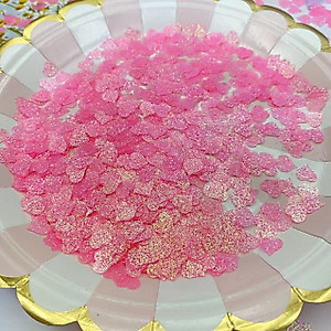 2500pcs Love Heart Shaped Glitter Confetti for Valentine's Day, Anniversary, Birthday, Wedding, Bridal Shower & Baby Shower Parties Decorations (Red)