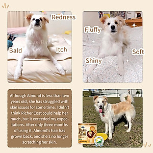 Blue Bay Richer Coat - Skin & Coat Supplement Powder | Supports Healthy Skin & Glossy Coat, Promotes Hair Growth, Cat & Dog Food Topper (7-Day Trial)