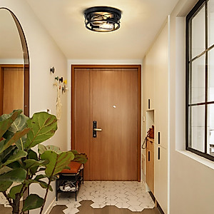 Baocuz 2-Light Flush Mount Ceiling Light Fixture, Farmhouse Light Fixtures Ceiling Mount for Hallway, Metal Cage Black Ceiling Lighting Lamp for Kitchen, Living Room, Entryway (2 Pack)