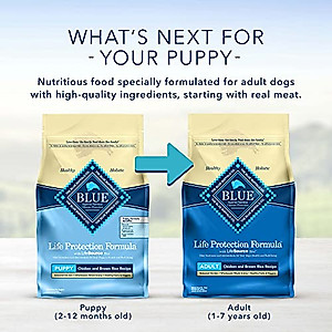 Blue Buffalo Life Protection Formula Natural Puppy Dry Dog Food, Chicken and Brown Rice 34-lb