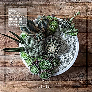 kimisty 10 Inch Succulent Planter, Large Round Bowl with Drainage, Mid Century White Ceramic Pot with Wood Stand, Succulent Garden Shallow Pot, Tabletop Centrepiece, Includes Gift Pack