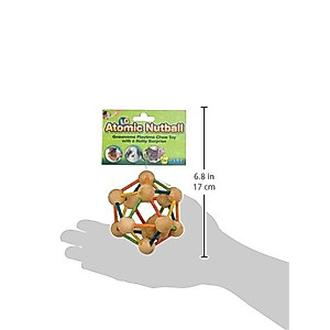 (3 Pack) Ware Manufacturing Wood Atomic Nut Ball Pet Toys for Small Pets - Large