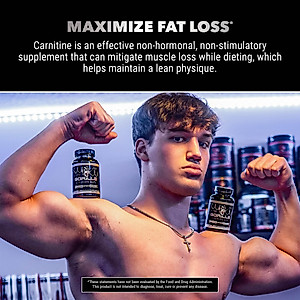 Gorilla Mode AR Carnitine 750mg Capsules – Androgen Receptor Upregulator/Boosts Cellular Energy, Upregulates Androgen Receptor Density/Shuttles Fatty Acids (120 Capsules)