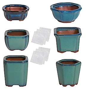 Happy Bonsai 6 pc Mini Glazed Pots Value Set + 6 Soft Mesh Drainage Screens