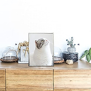 DECANIT 3.5x5 Picture Frame Metal, Thin Profile Photo Frame 3.5 by 5 Inch, Display for Wall or Tabletop,Silver