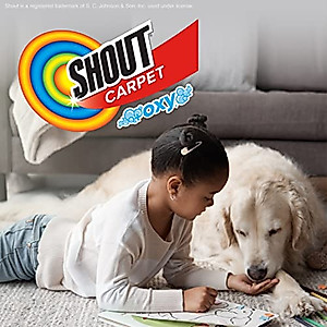 Shout Carpet Aerosol Stain and Odor Foaming Spray with OXY Power | Completely Removes Tough Urine Stains & Prevents Pet from Remarking | Safe for Kids & Pets | Fresh Scent