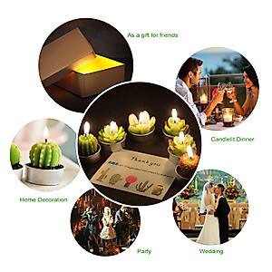 Handmade Delicate Succulent Cactus Candles for Birthday Party Wedding Spa Home Decoration(12 Packs-2)