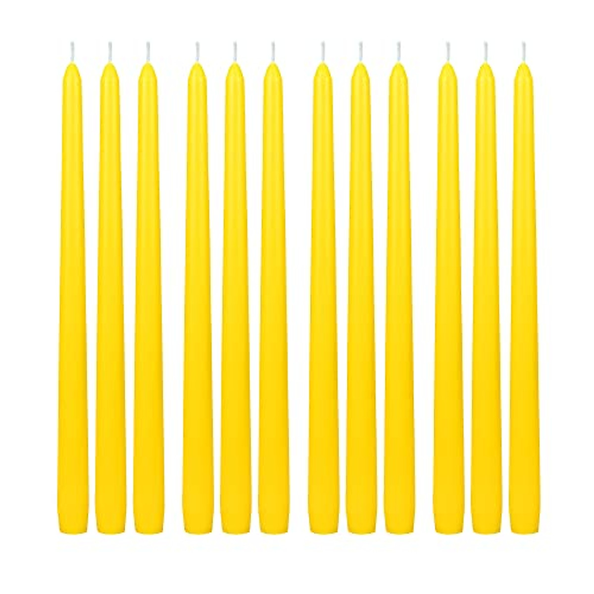Zest Candle Inch, Yellow 12-Piece Taper Candles, 12", 12 Count