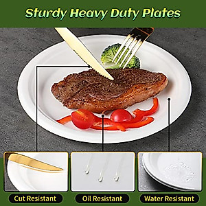 Coolego Paper Plates 125-Pack, 100% Compostable Paper Plates Bulk, Eco-friendly Sugarcane Fiber Paper Plates Heavy Duty with Biodegradable Packaging for Party, Daily