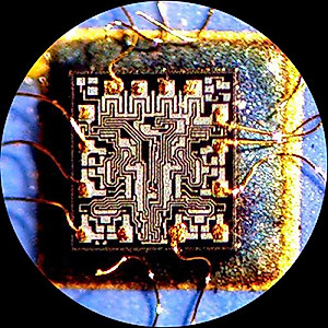 AmScope SM-1TS-144S-M Digital Professional Trinocular Stereo Zoom Microscope, WH10x Eyepieces, 7X-45X Magnification, 0.7X-4.5X Zoom Objective, 144-Bulb LED Ring Light, Pillar Stand, 110V-240V, Includes 1.3MP Camera with Reduction Lens and Software