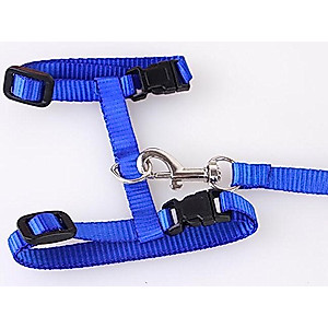 Gozier Pet Lead Leash Halter Harness Adjustable Safety Nylon Rope Strap Belt for Dog Cat Kitten (Blue)