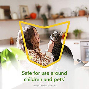 Raid Essentials Ant & Roach Killer Aerosol Spray, Child & Pet Safe, Kills Insects Quickly, for Indoor Use, 10 oz