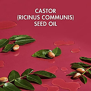 SheaMoisture Head To Toe Oil and Hair Oil for Dry Hair and Skin Jamaican Black Castor Oil Paraben Free Hair Oil, Body Oil 1.8 oz