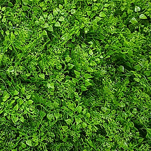 tonchean Grass Wall Panel 12PCS Artificial Hedge Panels 24 x 16inch Faux Greenery Wall Backdrop Topiary Fence Screen for Indoor Outdoor Decor Garden Fence Backdrop