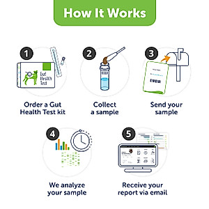 AnimalBiome Dog Probiotics Test Kit - Gut Microbiome Health Test - DoggyBiome