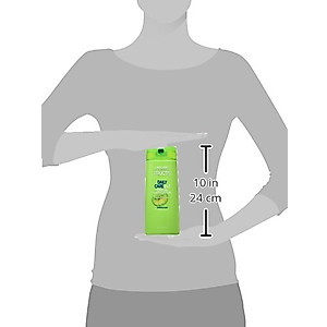 Garnier Hair Care Fructis Daily Care 2-In-1 Shampoo & Conditioner, 22 Fluid