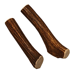Elkhorn Premium Chews - Medium Whole Twin Pack (for 20-45 lb Dogs and Puppies) Premium Grade Elk Antlers for Dogs (2 Pieces) Sourced in The USA