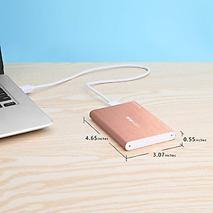 ACASIS HDD 2.5" 160GB Portable External Hard Drive USB3.0 Hard Disk Storage Devices for PC,Laptop,Mac,PS4, Xbox one (Gold)