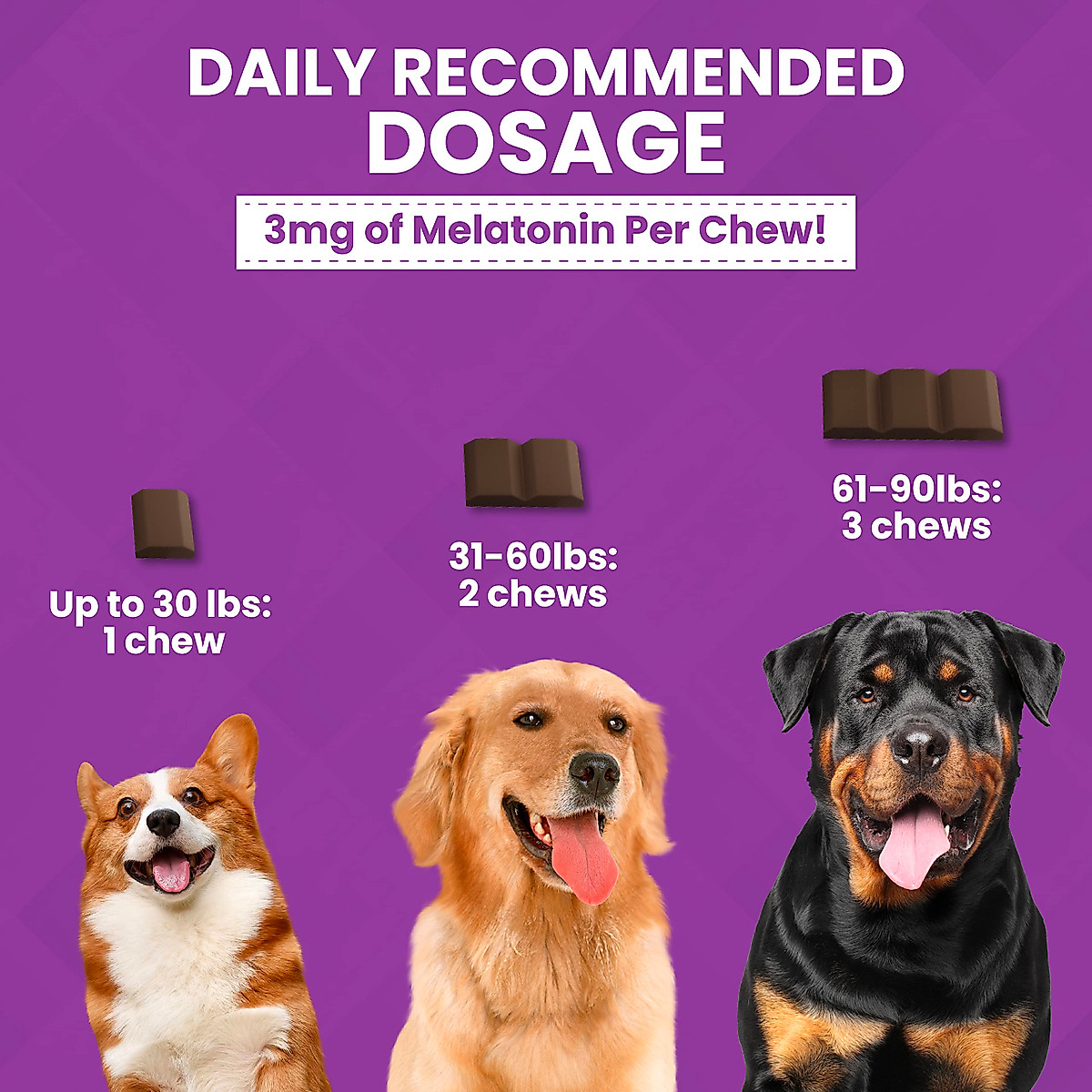 Nootie ProgilityMAX Calming Aid Chews for Dogs, Maximum Strength Calming Support for Dogs with Melatonin, 12 Single-Serve Bars, 4 Chews Per Bar