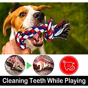 LosFong Large Dog Chew Toys for Aggressive Chewers, 12 Pack Indestructible Dog Rope Toys for Large Breeds, Heavy Duty Dental Cotton Rope Dog Toys, Puppy Teething Chew Toys, Tug of War Dog Toy