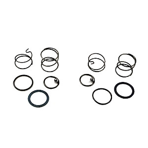 Palart N078434 Spring kit for 20 V impact wrench DCF885 DCF886 spring and ball replacement, impact driver spring kit and ball (2 pcs)