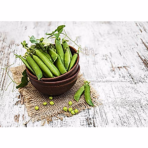 Sugar Daddy Snap Pea Seeds for Planting, 50+ Heirloom Seeds Per Packet, (Isla's Garden Seeds), Non GMO Seeds, Botanical Name: Pisum sativum, Great Home Garden Gift