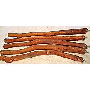 Manzanita Perches Set of Two 24" Two Feet Long