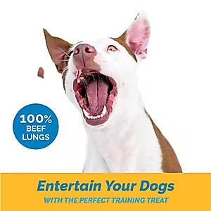 123 Treats Beef Lung Dog Tips Treat - All Natural Premium Jerky Chews for Your Dog (Beef Treats - Made in USA) 8 oz