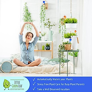 LGL Plant Watering Globes - 2 Pieces. Decorative Self Watering Planter Inserts Made From Hand-Blown Durable Glass. Keep your Outdoors and Indoor Plants Healthy. Ideal Plant Lover Gift (2pk Small)