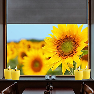 CandleNScent Yellow Votive Candles | Unscented - 15 Hour Burn Time - Made in USA (Pack of 6)