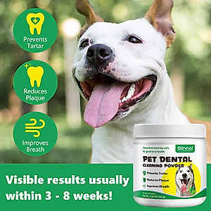 PLSHSBSE Dog Dental Powder 80G, Dog Dental Care Breath Freshener, Dental Powder for Dog Teeth Cleaning, Plaque Tartar Off Powder for Dogs, Dog Teeth Cleaning Powder with Probiotics