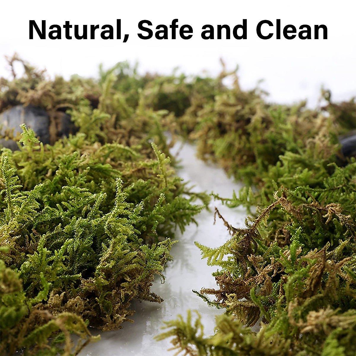 DR.DUDU 15L Forest Moss for Hamster Bedding Nesting, Syrian Gerbils Hamster Cages Accessories, Perfect for Small Animals Terrarium Moss