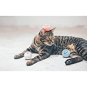 Pet Supplements Turmeric for Cats - CAT Turmeric for Joint Health - Advanced Joint Support - glucosamine chondroitin cat Treats - 3 Bottles (180 Tablets)