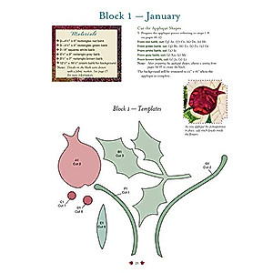 Seasonal Silhouettes: 12 Inspirational Quilt Blocks Featuring Raw Edge Applique (Landauer) Gorgeous Designs & Full-Size Patterns for Every Month of the Year, from Edyta Sitar of Laundry Basket Quilts