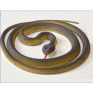 Super Realistic Rubber Brown Snake 50 Inch Long Scare Toy GET Featured by Sending Scare Video to @thescaredlife