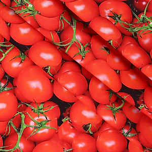 Mook Fabrics Fruits-Vegetables Fabric [45 in. Wide] – 100% Combed Cotton Material for Quilting, Home Decor Accents | Arts, Crafts & Sewing, Vine Tomatoes Cut by The Yard