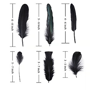 Larryhot Black Craft Feathers Bulk - 240pcs 6 Style Mixed Natural Feathers for Wedding Home Party, Dream Catcher Supplies and DIY Crafts (Black)