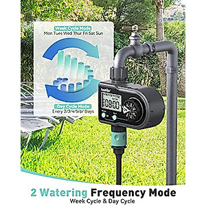 RAINPOINT Sprinkler Timer, Hose Timer with 3 Individual Programs, Water Timer for Garden Hose Faucet, Programmable Automatic/Manual Irrigation System, for Specific Days or Daily Outdoor Lawn Watering