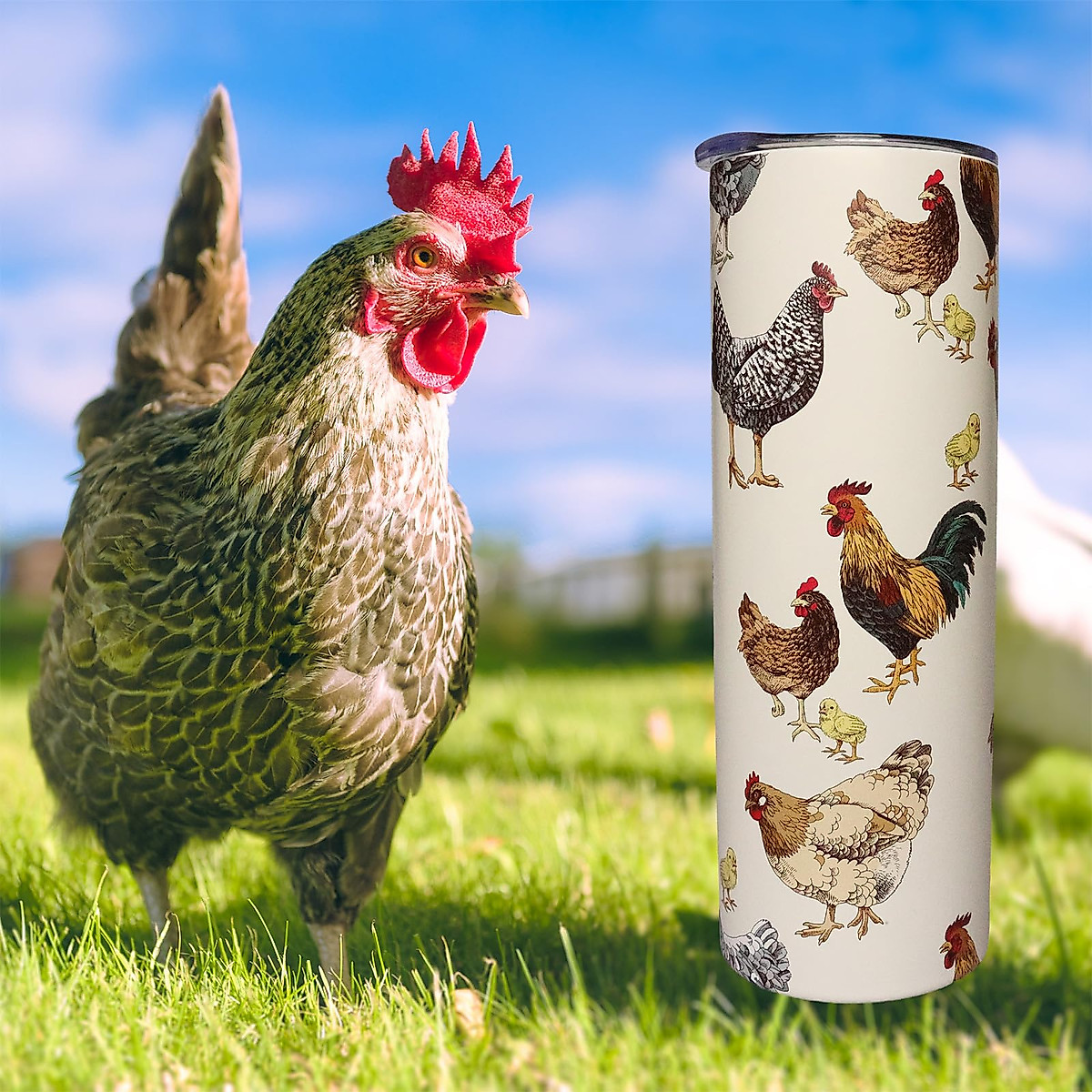 IchDich Chicken Tumbler With Lid and Straw 20 oz Insulated Breeds of Chicken Knowledge Tumbler Stainless Steel Chicken Skinny Tumbler Water Bottle Travel Mug Wine Cups Gifts for Chicken Loves Women