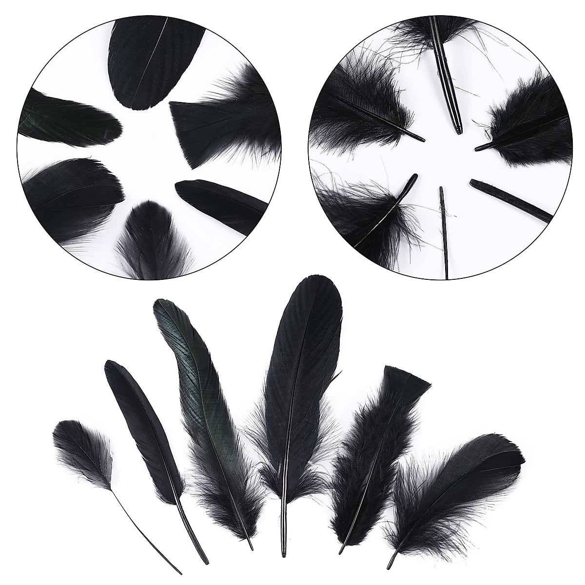 Larryhot Black Craft Feathers Bulk - 240pcs 6 Style Mixed Natural Feathers for Wedding Home Party, Dream Catcher Supplies and DIY Crafts (Black)